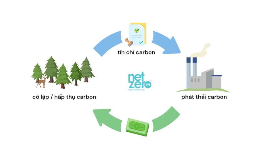 Phát triển thị trường carbon, hướng tới Net Zero | NetZero.VN - Net Zero Viet Nam