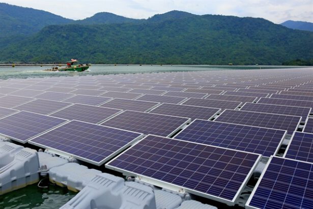 Việt Nam to introduce criteria for national green development | NetZero ...