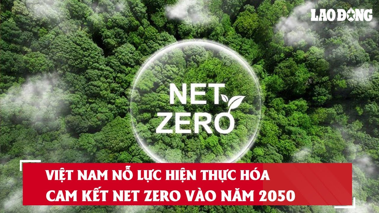 [Lao Động] Việt Nam nỗ lực hiện thực hóa cam kết Net Zero vào năm 2050 | NetZero.VN - Net Zero ...