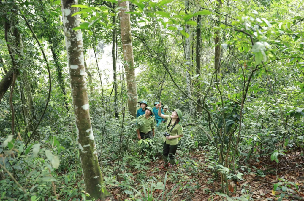 Eight coastal localities get more support in forestry modernisation ...