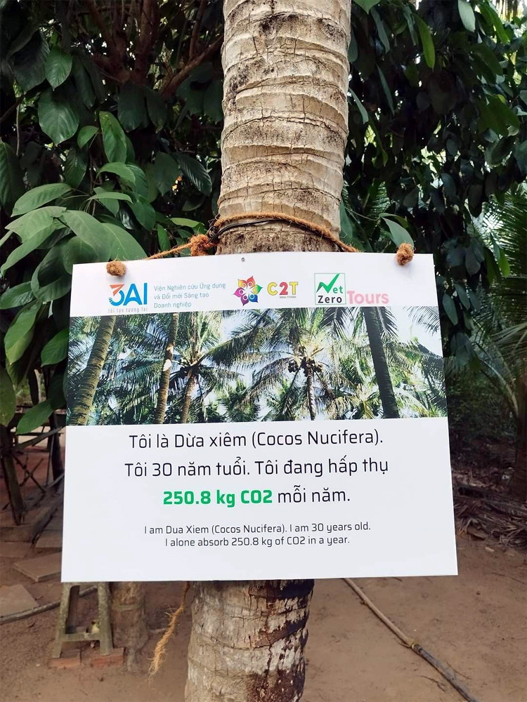 Net Zero tourism: Vietnam’s push to cut carbon emissions from travel ...