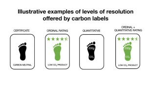 Carbon labels: a gateway to high-value global markets | NetZero.VN ...