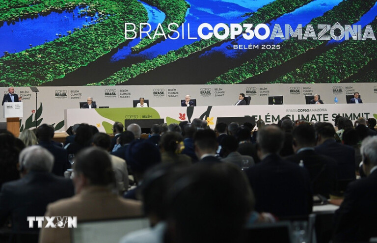 COP30 khép lại với các cam kết về khí hậu, tài chính và rừng nhiệt đới | NetZero.VN - Net Zero ...