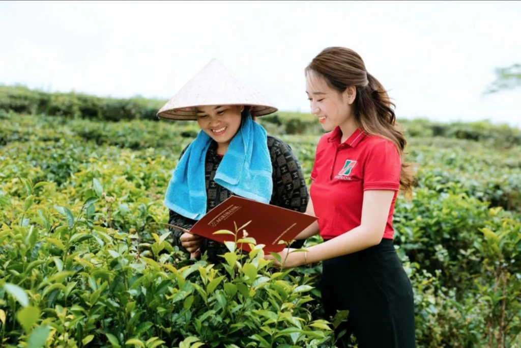 Gỡ rào cản tín dụng xanh | NetZero.VN - Net Zero Viet Nam